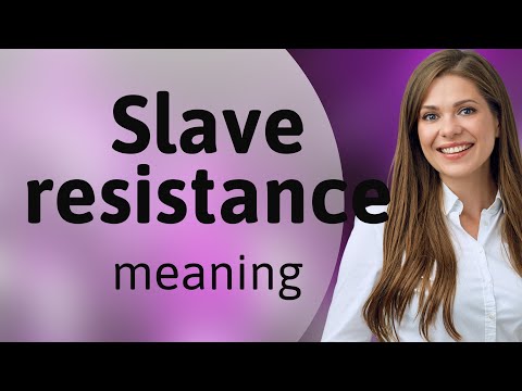 Understanding "Slave Resistance" in History