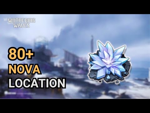 Wuthering Waves: Nova Locations & Farming Route