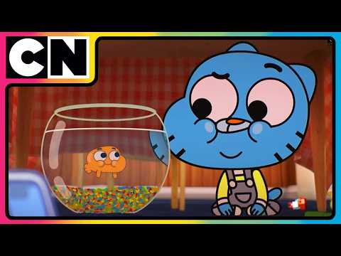 The Amazing World of Gumball⚽| How Darwin Joined the Wattersons! | Animated Cartoon 😍| @cnindia