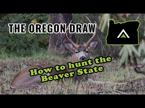 Understanding the 2024 Oregon Hunting Draw