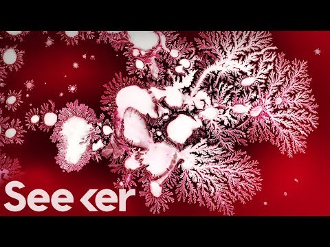 Is There a Limit to How Small Life Can Get?