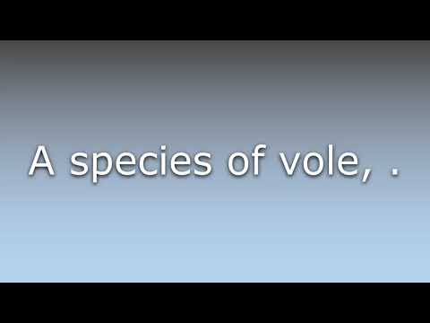 What does Field vole mean?