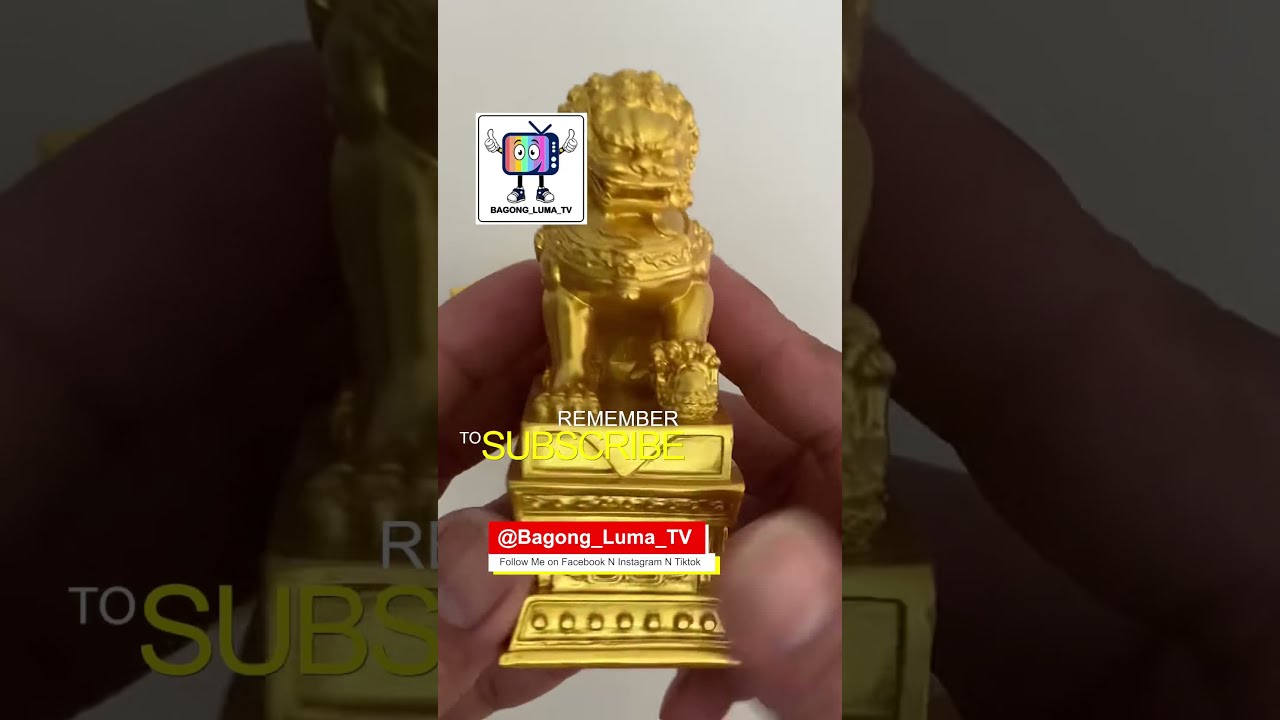 Chinese Feng Shui Foo Dogs