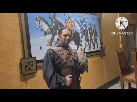 Medieval Times Dinner and Show Schaumburg, IL