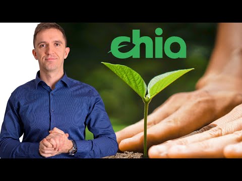 Chia Farming Explained with Simple Words 🌿 [Is it Worthy Farming Chia from Home?]