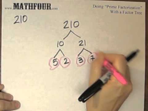 Prime Factorization with a Factor Tree Pt 1
