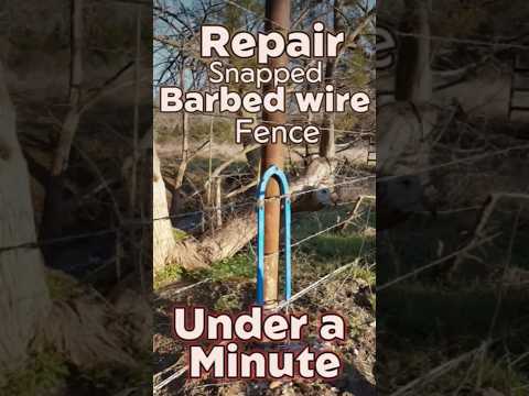 How to fix a barbed wire fence in under a minute #ranch #cutedog #diy#homestead