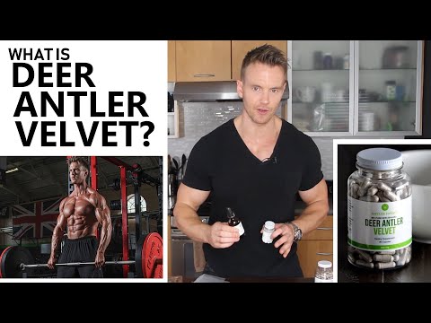 Deer Antler Velvet (DAV) for Bodybuilding - Rob Riches