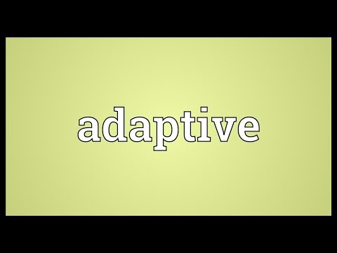 Adaptive Meaning