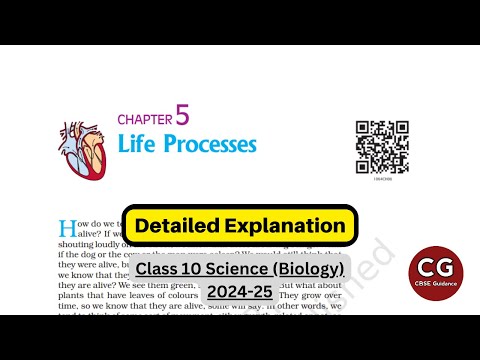 Life Processes Class 10: NCERT Edition Explained! (One Shot Video)