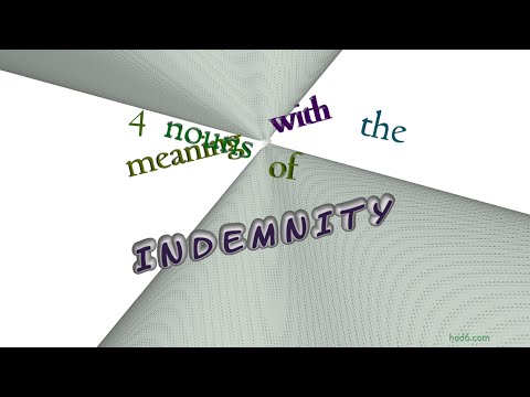 indemnity - 4 nouns which mean indemnity (sentence examples)