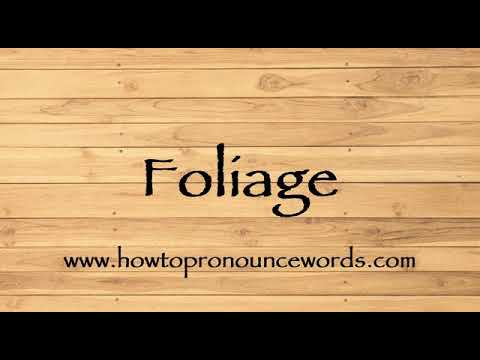 How To Pronounce Foliage ? How To say Foliage New Video