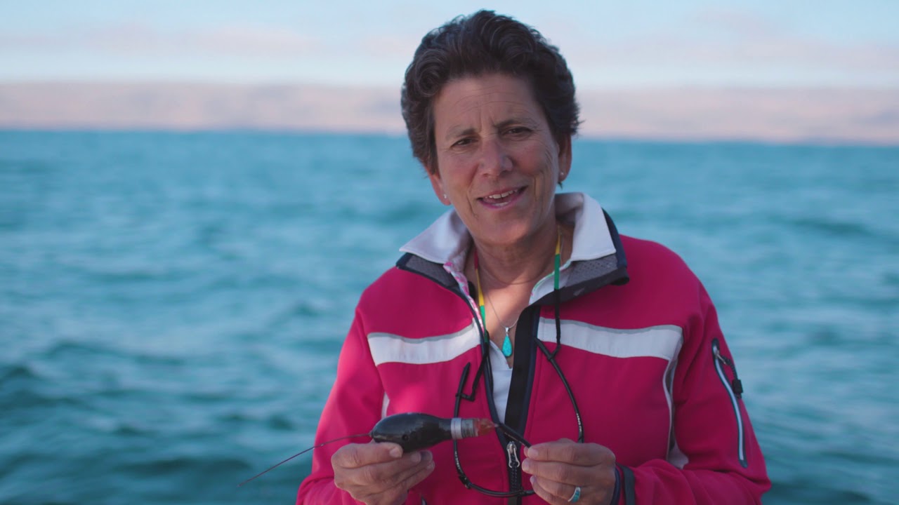 IGFA Great Marlin Race