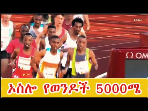 Biniam Mehari and Nico Young Battle in Oslo 5000m / Diamond League 2025