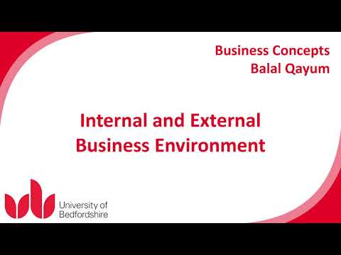 Business Concepts: Internal and External Environments