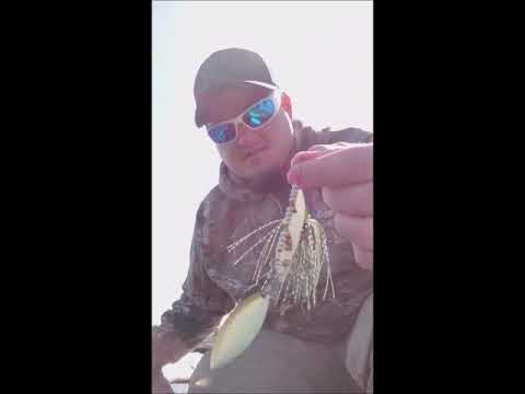 Preview From Bite Me Baits
