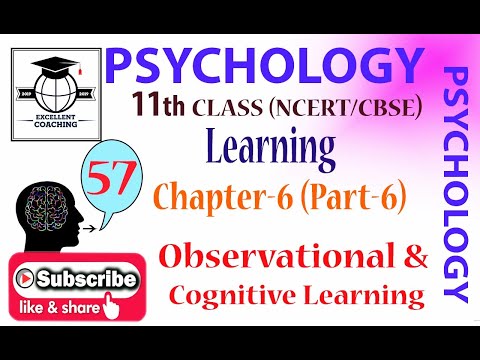 Observational and Cognitive Learning Video Lecture - Psychology for ...