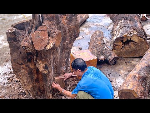 Largest Rustic Monolithic Table From Old Rare Giant Tree Stump ...