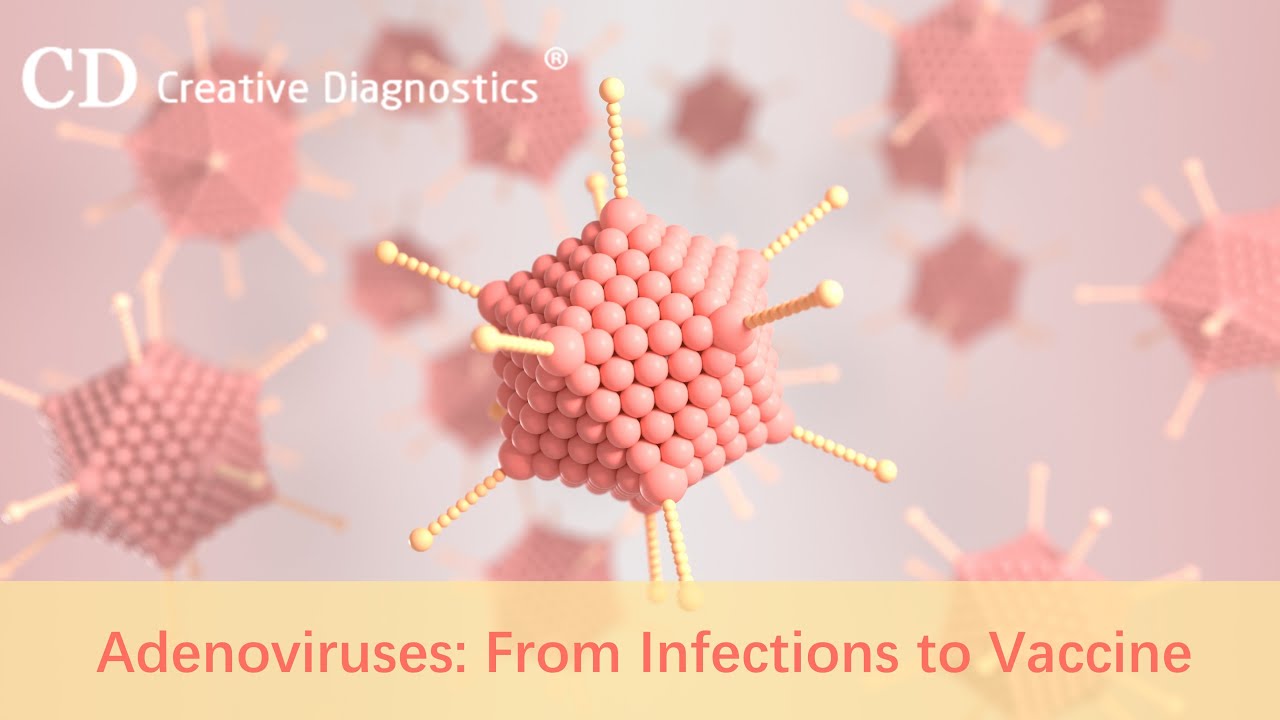 Adenoviruses  From Infections to Vaccine