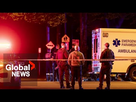 Vancouver festival tragedy: 11 killed, dozens injured on “darkest day” in city’s history, police say