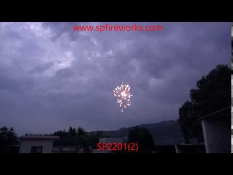 SP2201(2)