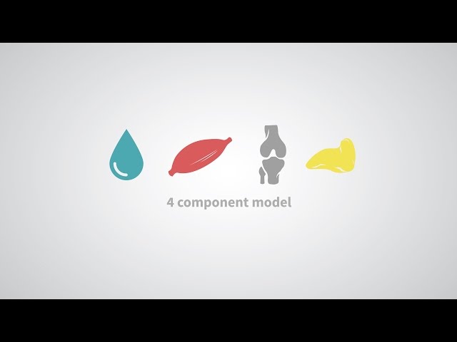 Understanding Body Composition: The Key to Better Health and Fitness ...
