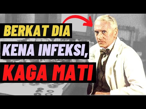 BIOGRAFI SINGKAT ALEXANDER FLEMING - Penemuan Penisilin - Penemu Antibiotik Pertama