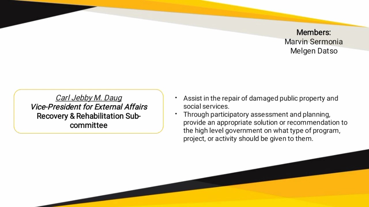 1st BDRRMC Structure | Group 2