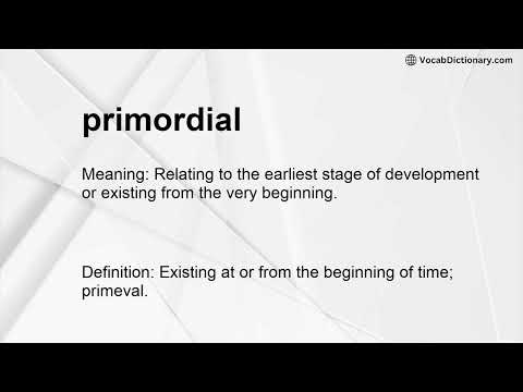 primordial Meaning