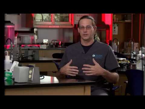 EFSC - Dr. Petrie (Genetics)