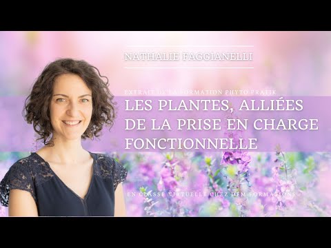 Extrait de la formation Phyto Pratik avec Nathalie Faggianelli