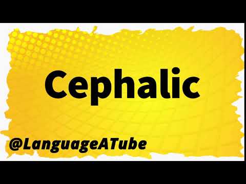 Cephalic Pronunciation ⚡️ How To Pronounce Cephalic!