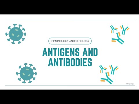 Antigens and Antibodies | Overview