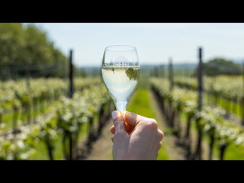 What Makes English Wine So Great | Virgin Wines