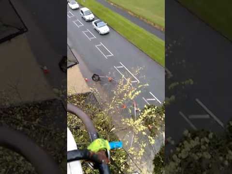 Leeds Tree services. M.E.W.P work