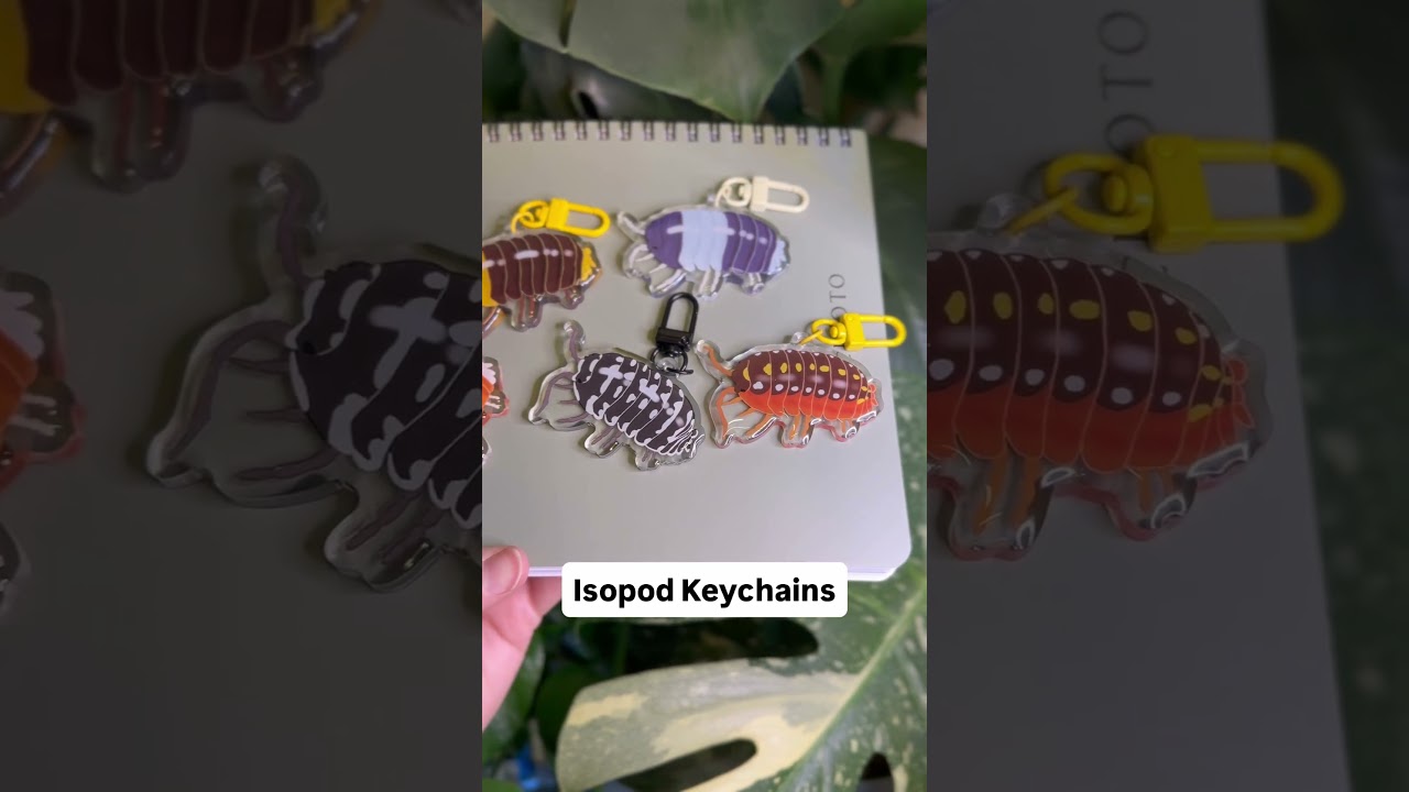 Isopod keychains in my Etsy shop - All hand-designed 🪵 #insects #bagcharm #giftideas #cute #art