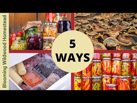 5 METHODS OF PRESERVING FOOD - Food Preservation