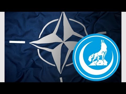 Operation Gladio B- Part 6: The Origin, Brzezinski’s Grand Chessboard & Turkey’s Gladiators