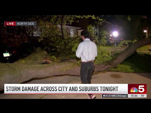 Severe storm tears down trees, knocks out power, and delays concert in Chicago