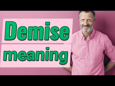Demise | Definition of demise