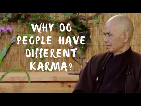 Why do people have different Karma? Thich Nhat Hanh answers questions