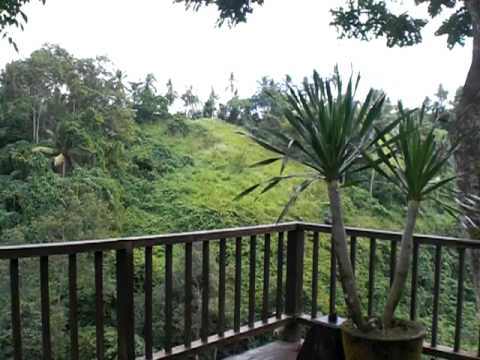 Villa Natura Resort and Spa - Ubud Bali