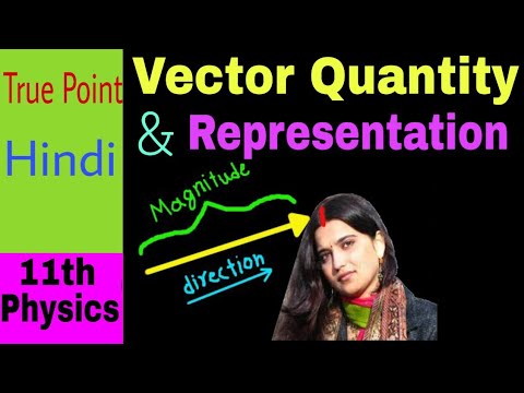 🔴 Vector Quantity || in Hindi