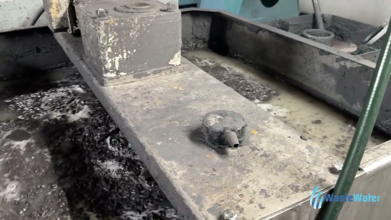 DST1211D Auto Paint Factory Primer Base Clear Coat