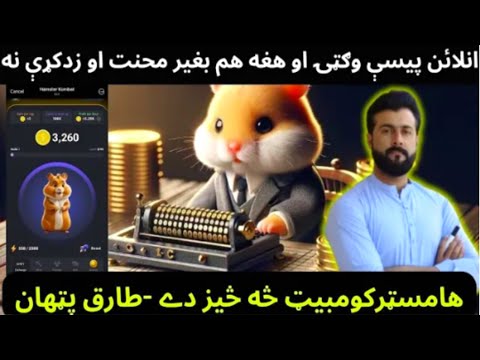 Reality of Hamster Kombat Explained by Tariq Pathan | Behind the Scenes Insight