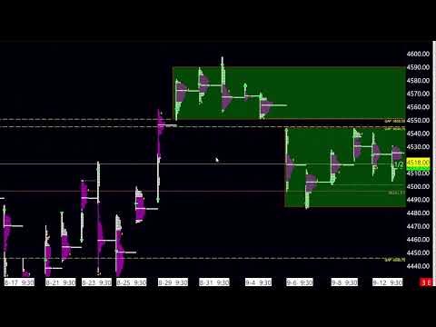 Market Profile 101: Tick sizes, auction process, excess & balance, one time framing #marketprofile
