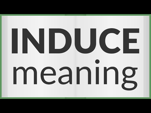 Induce | meaning of Induce