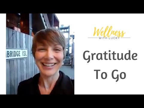 Gratitude To Go at Wellness with Lucky. Is your KNEE-JERK reaction ANGER? Tips on choosing PEACE