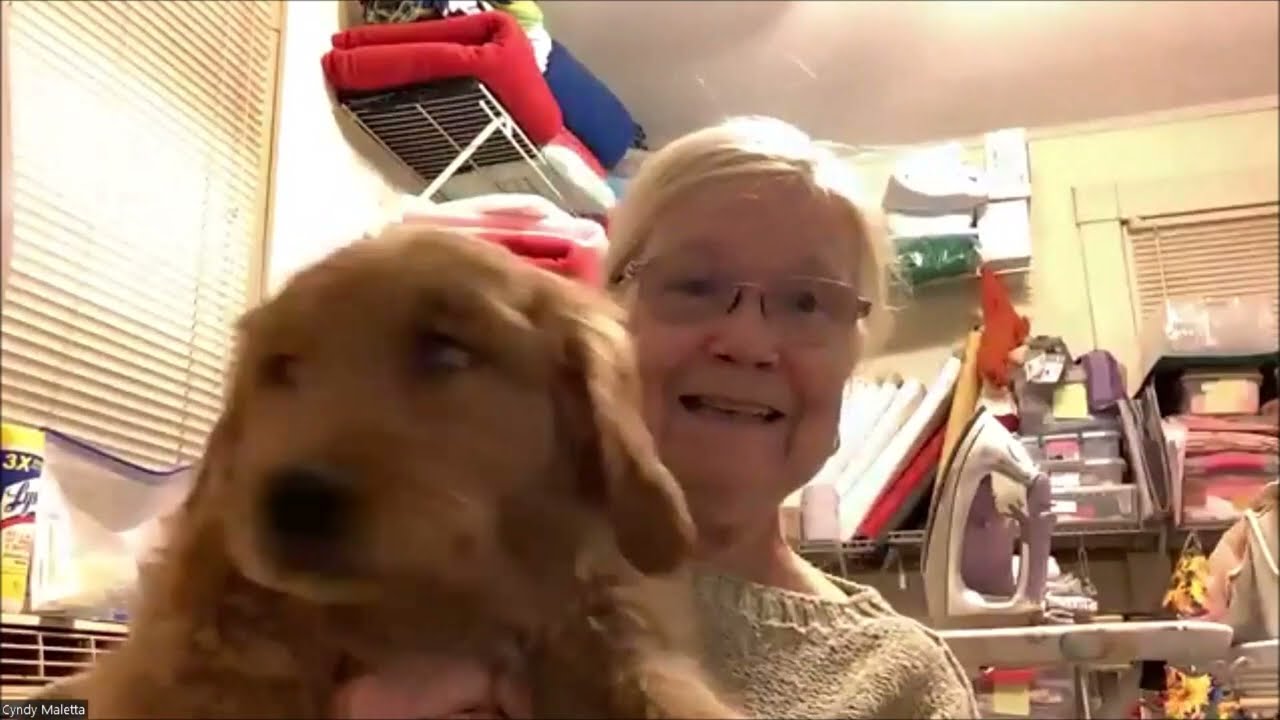 Patchworkers Plus Member Showcase