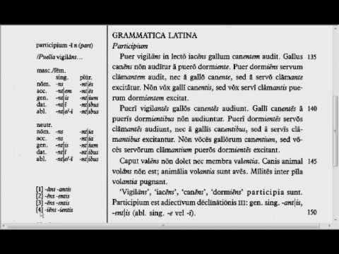 Lingua - 14.G - Reading Tutorial